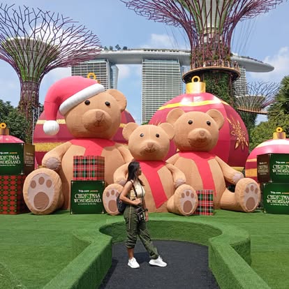 GitHub - DiGi-MJ/mitch-singapore