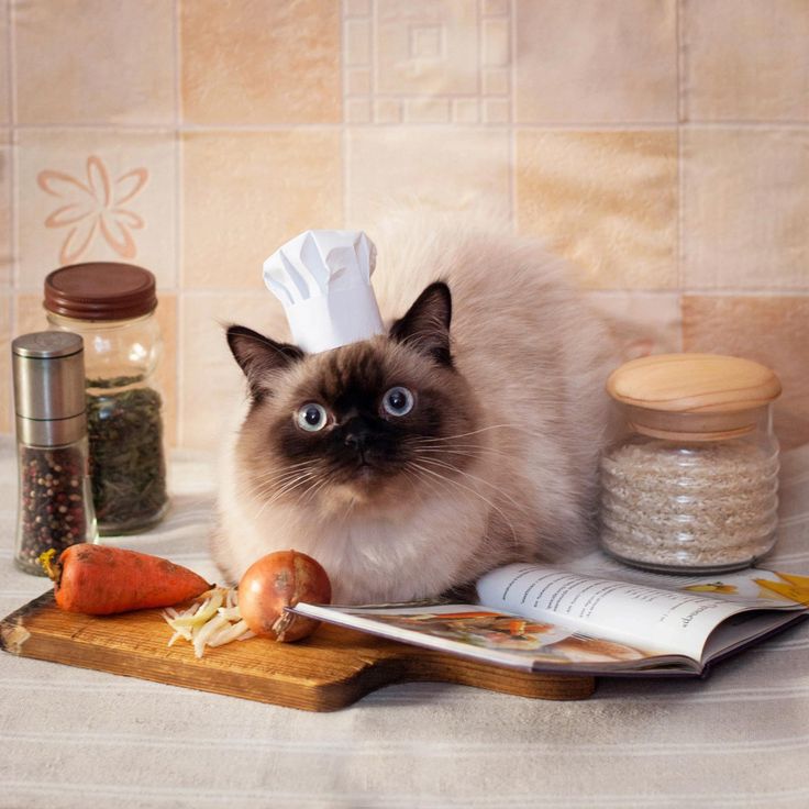 GitHub - algorithm-ssau/Sait-Katalog