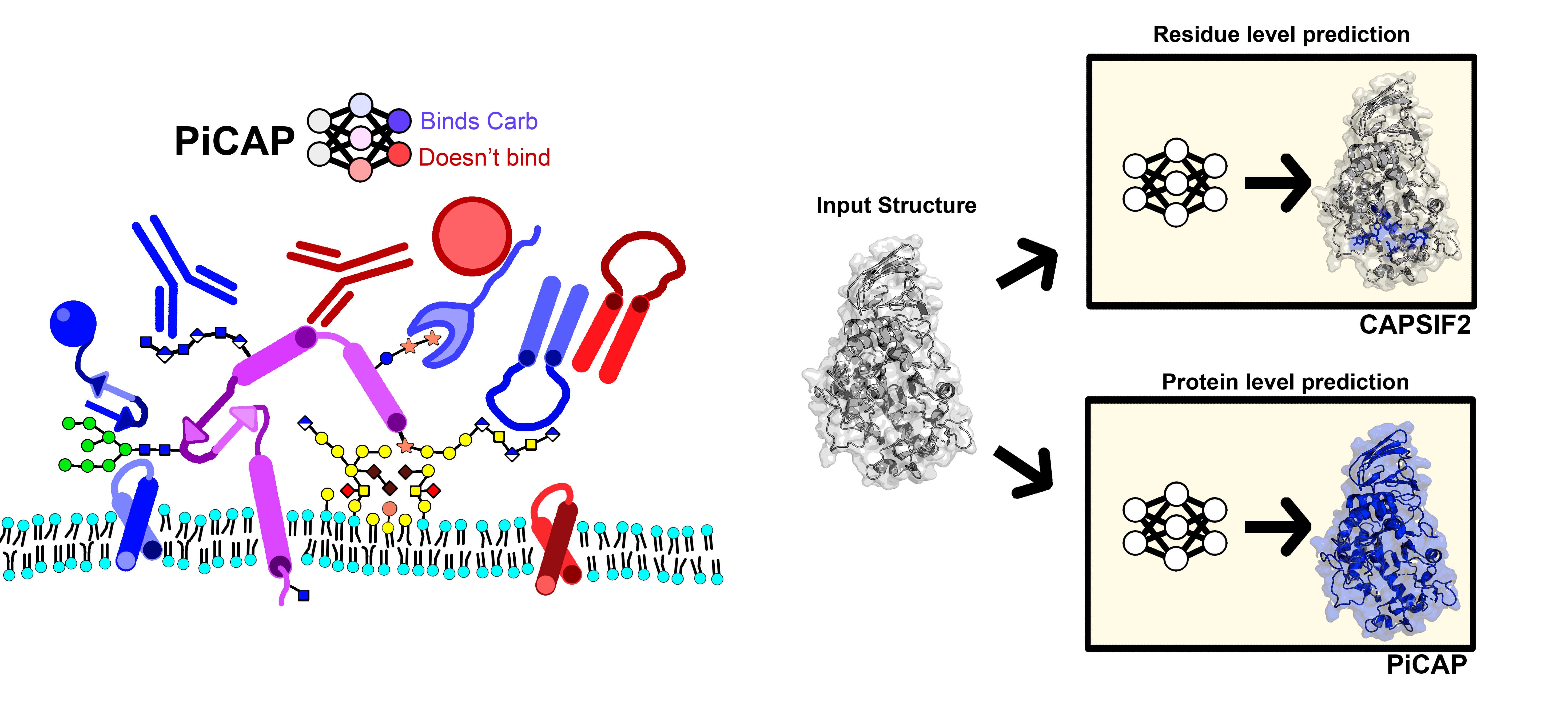 picap/sample_notebook.ipynb at main · Graylab/picap · GitHub