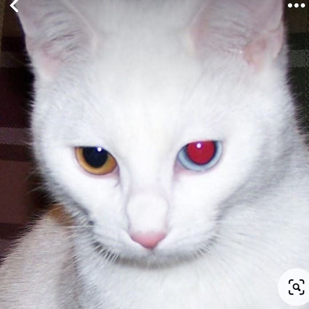 GitHub - Zerone-01-zqy/Zerone-01-zqy: Config files for my GitHub profile.