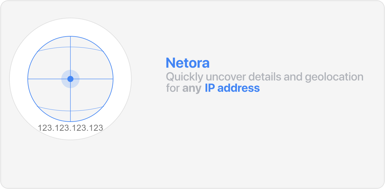 GitHub - nativevoid/netora: Quickly uncover details and geolocation for any IP address