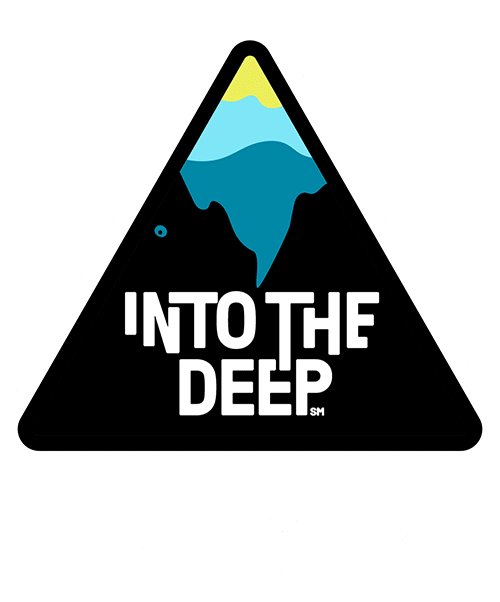 Network Graph · Crashandburn001/FTCbot2025 · GitHub