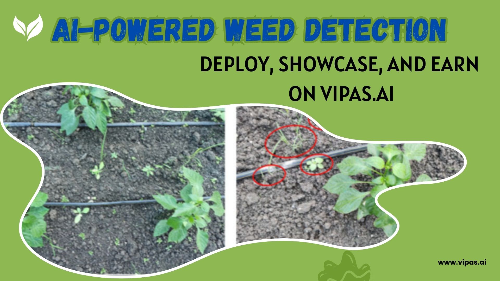 GitHub - vinay-jayanna/agriculture-weed-detection-AI: AI AgriTech – An advanced deep learning ...