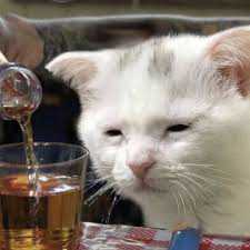 GitHub - Chakravartinsamrat/RAG-Summarizer: Text-Summarization using Ollama and Django