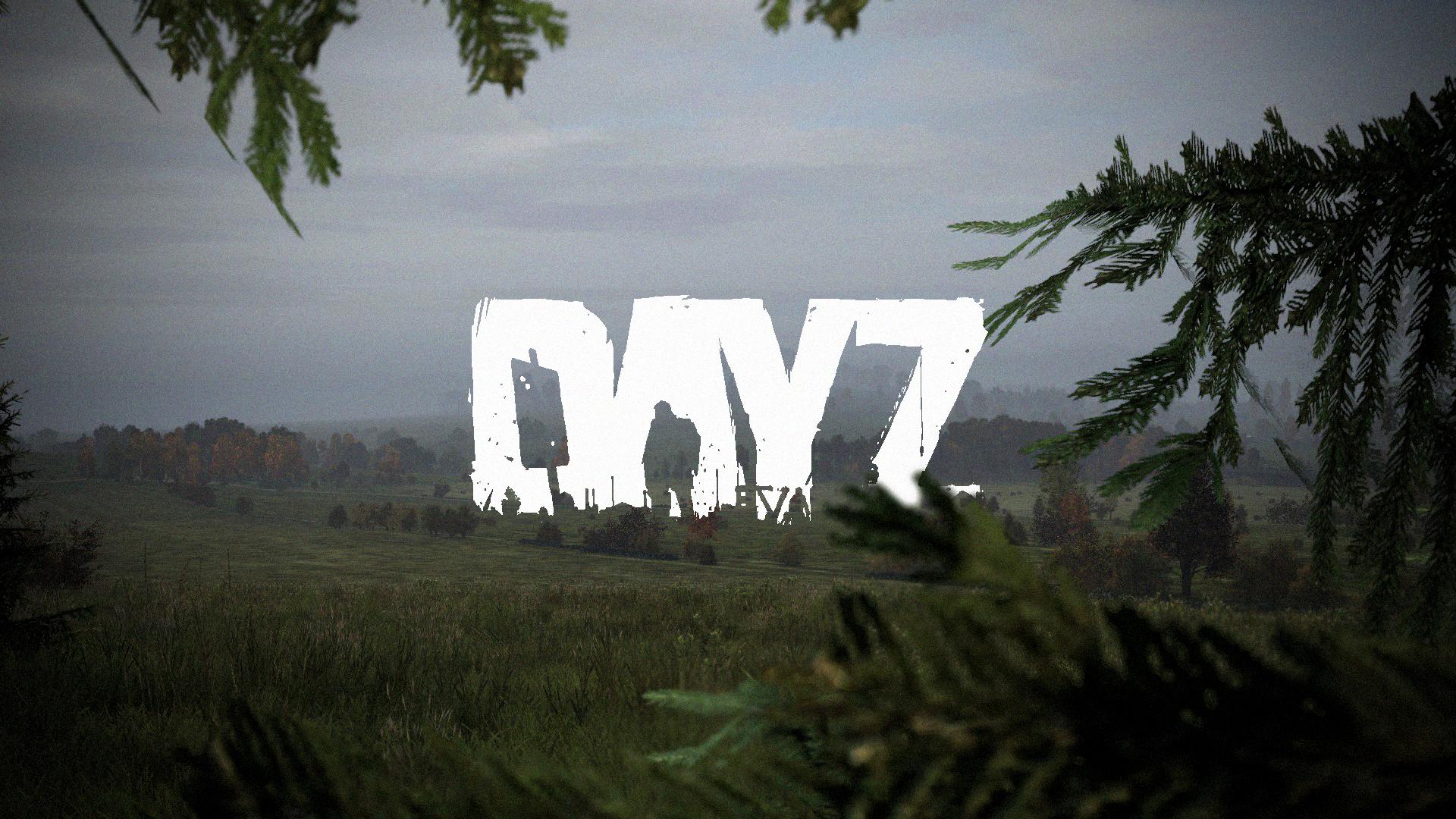 GitHub - DayZ-External-Cheat-Tool/.github: The ultimate DayZ cheat tool featuring ESP vision ...