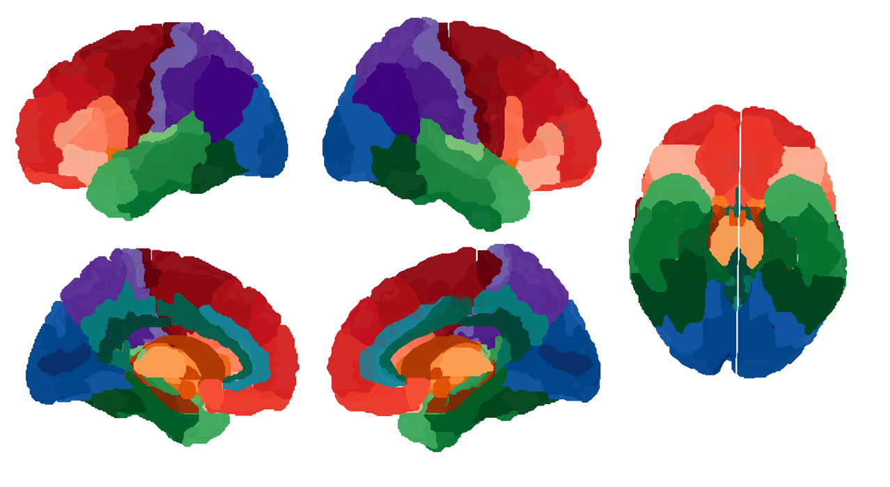 GitHub - hippocampeli/brodmann_atlas