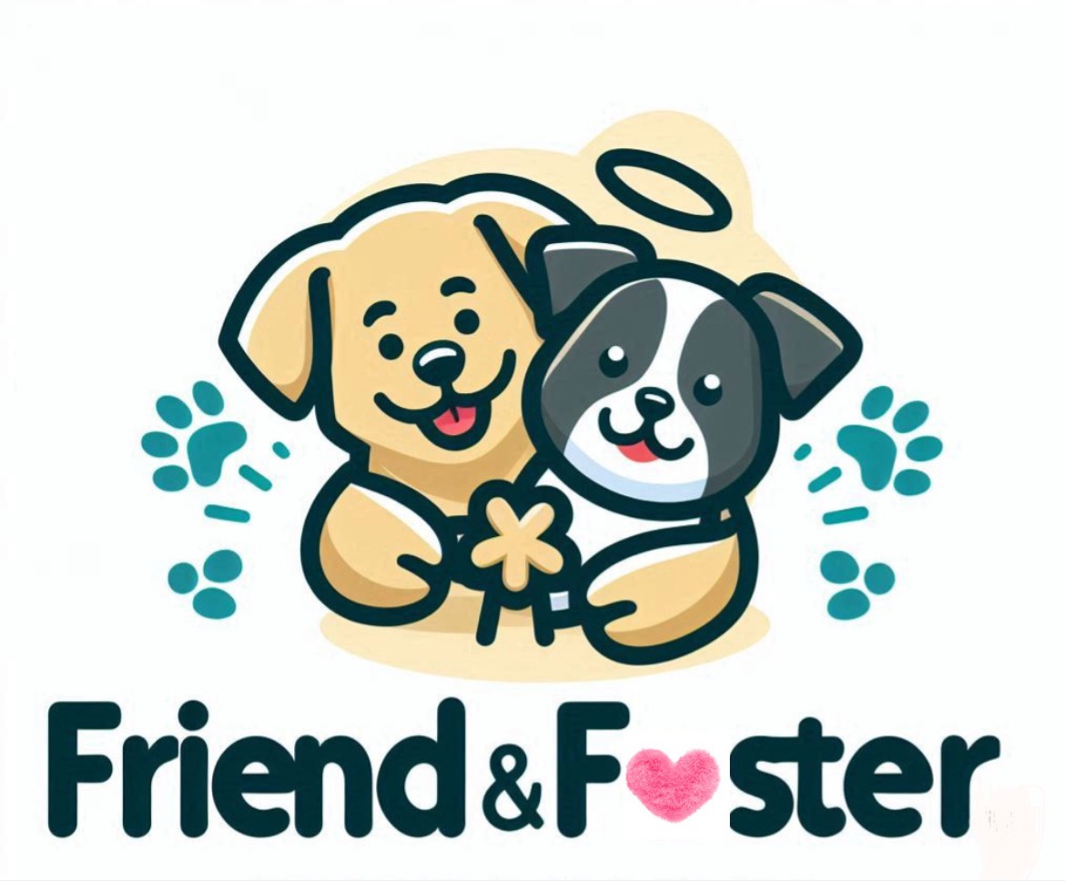 GitHub - monieelyse/FriendAndFoster