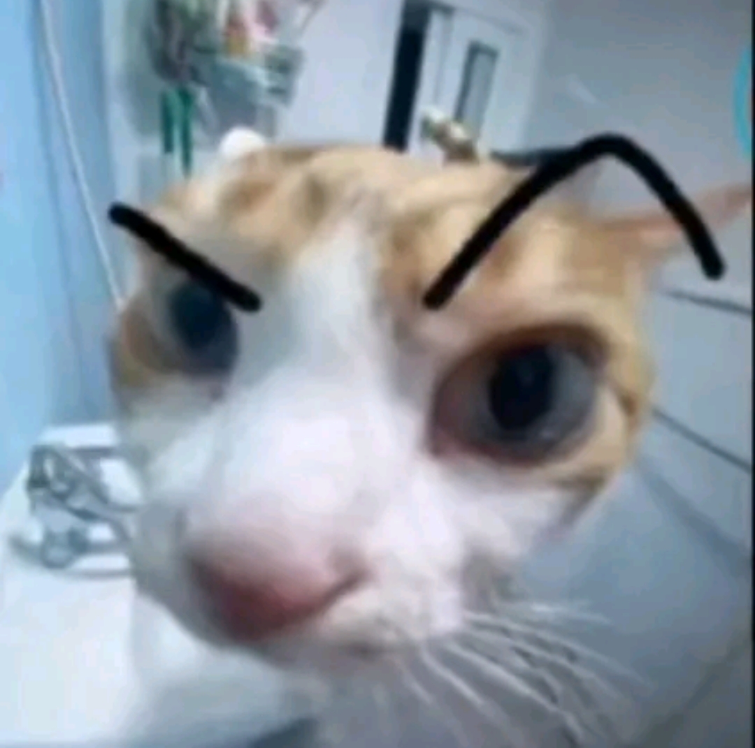 GitHub - Juanko-Scripts/OPEN-SOURCE: Script Original Juanko Mods XP