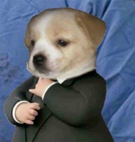 GitHub - maki856/queso