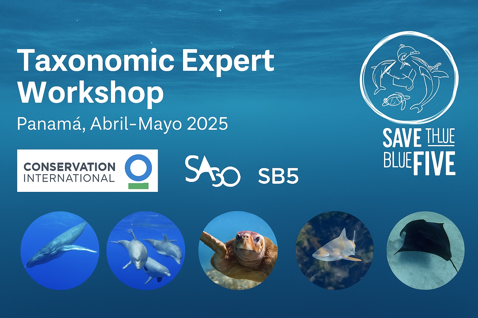 GitHub - IsaakBM/megafauna_CC_workshop2025: Sitio del taller 2025 sobre megafauna marina y ...