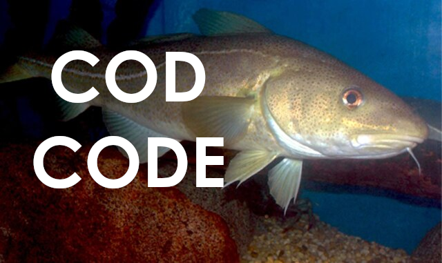 GitHub - no-im-bk/cod-code