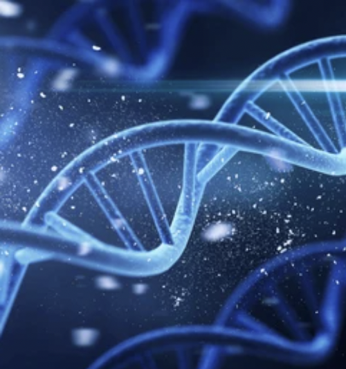 GitHub - move37-labs/nucleobench: Repository for upcoming paper ...