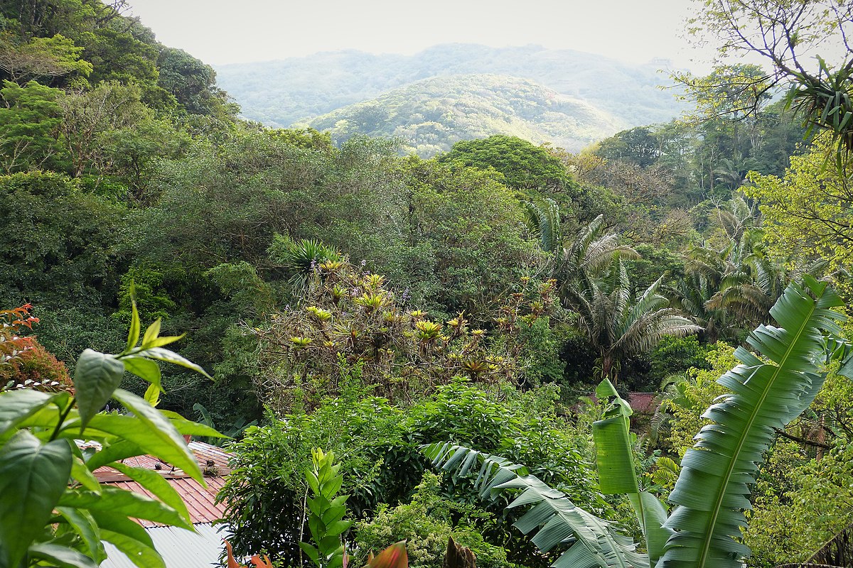 GitHub - Vaidx0/Vaidx-Website: Website Vaidx Numworks