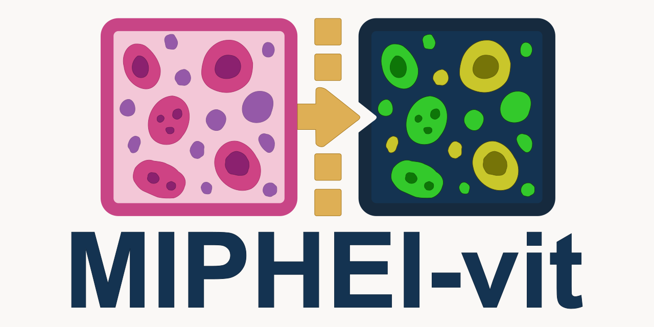 GitHub - Sanofi-Public/MIPHEI-ViT: MIPHEI-ViT: Repository to train Image-to-Image H&E to ...