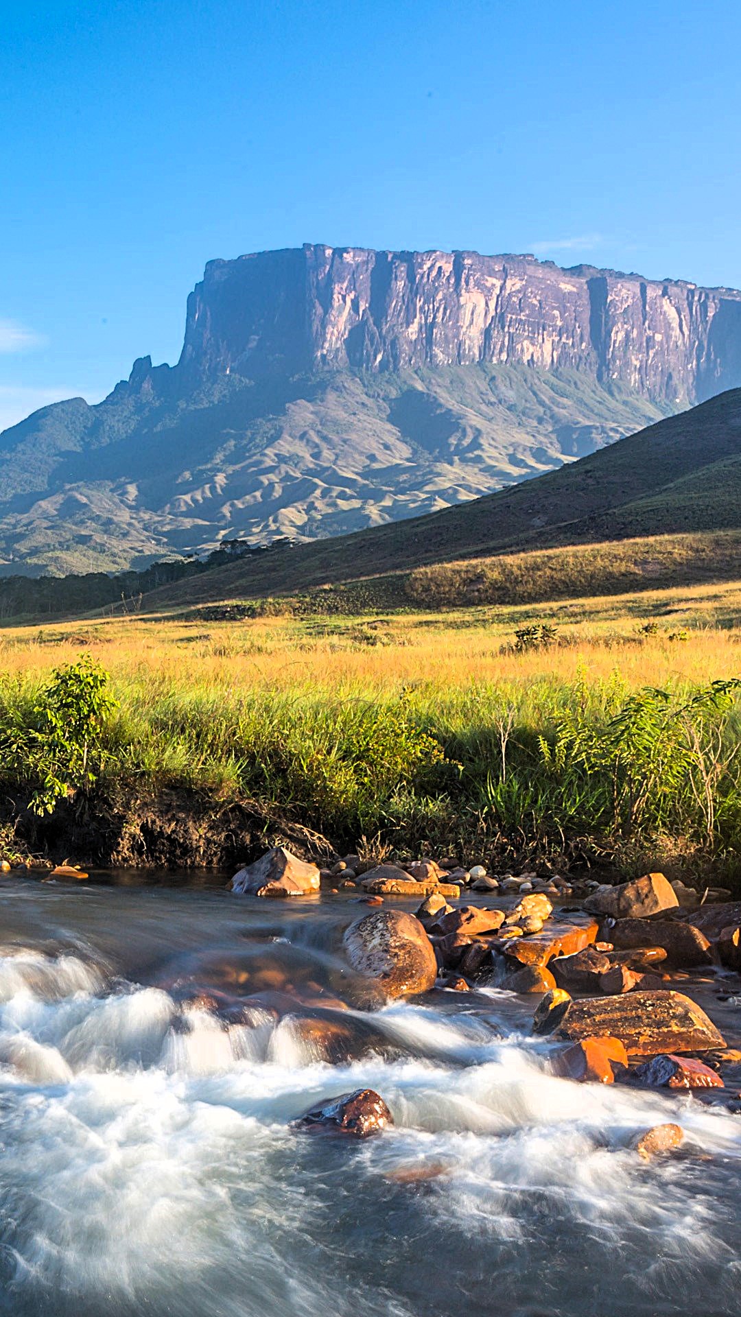 GitHub - blessing-2025/gigi-sample