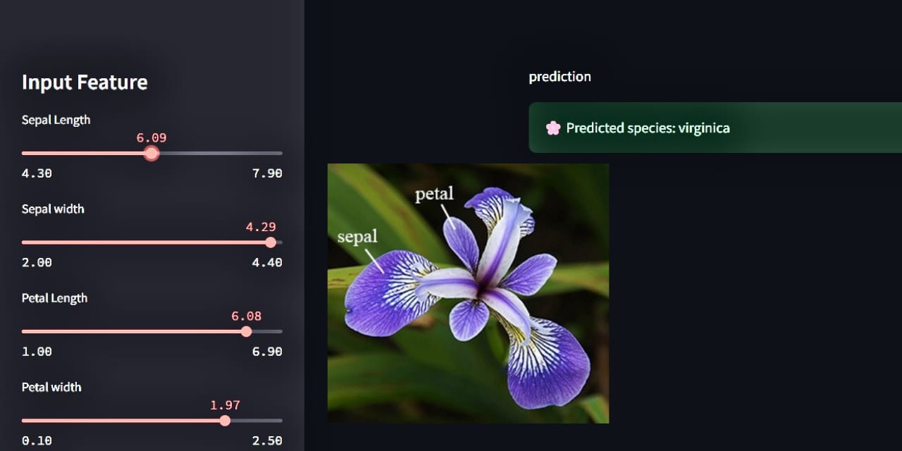 GitHub - GenerativeAiWithMariams/Iris-Project