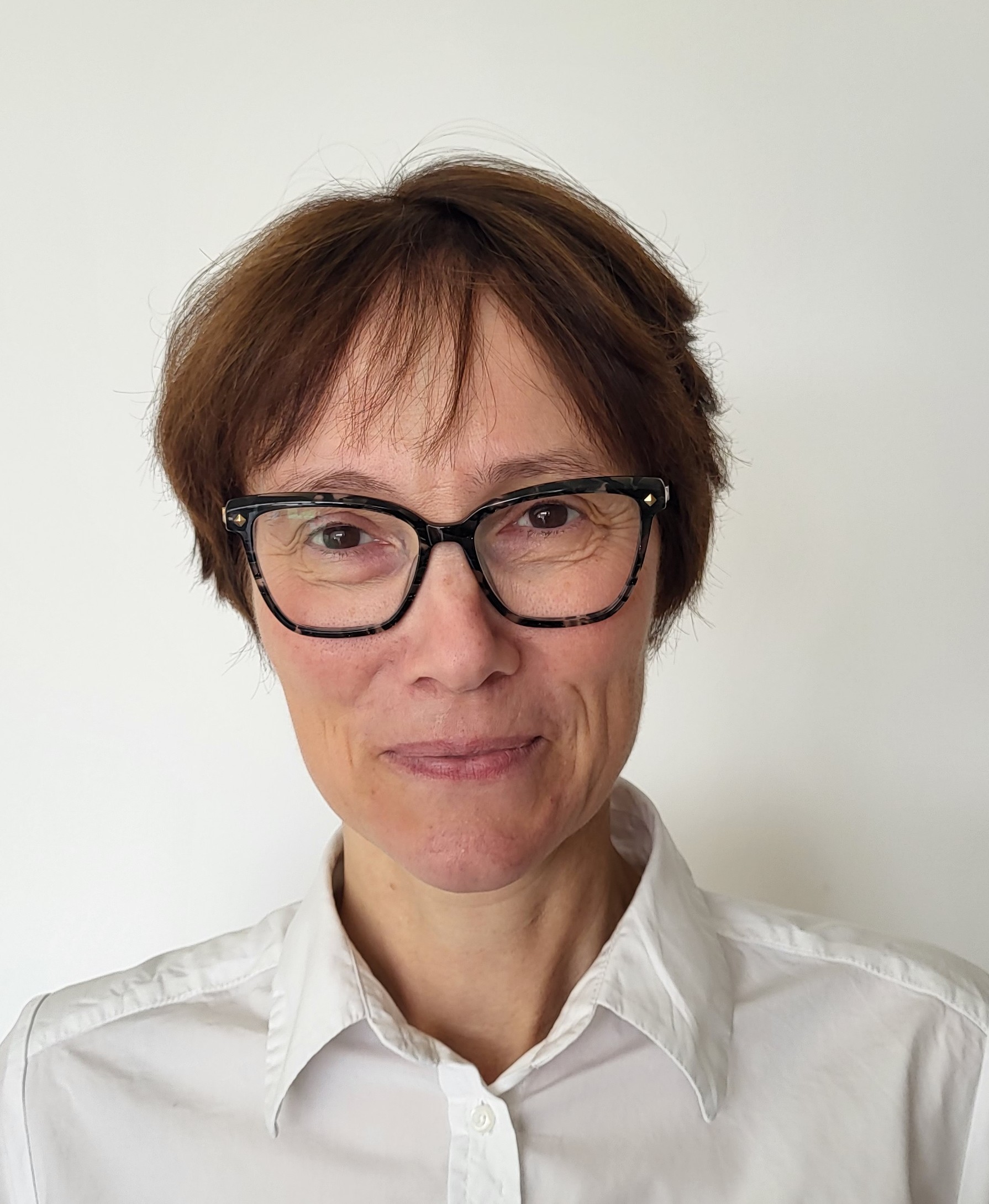 graph-ai-portfolio/index.html at main · idevaux/graph-ai-portfolio · GitHub