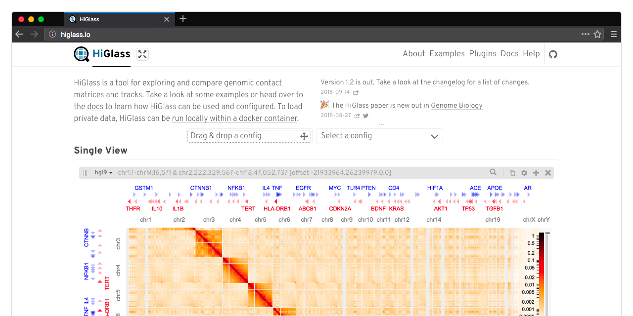 GitHub - higlass/higlass-app: A fully featured application around HiGlass for viewing, exploring ...