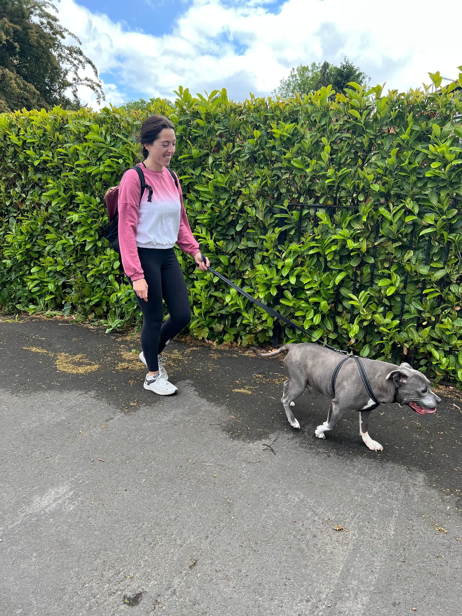 GitHub - Rebeccamcgill2/rebecca-care