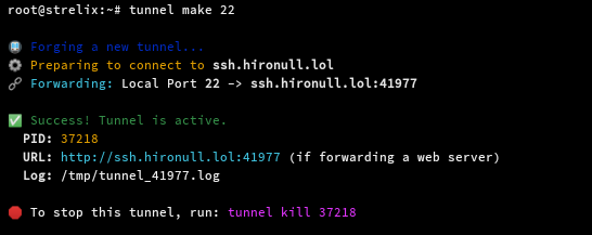 Community Standards · GitHub