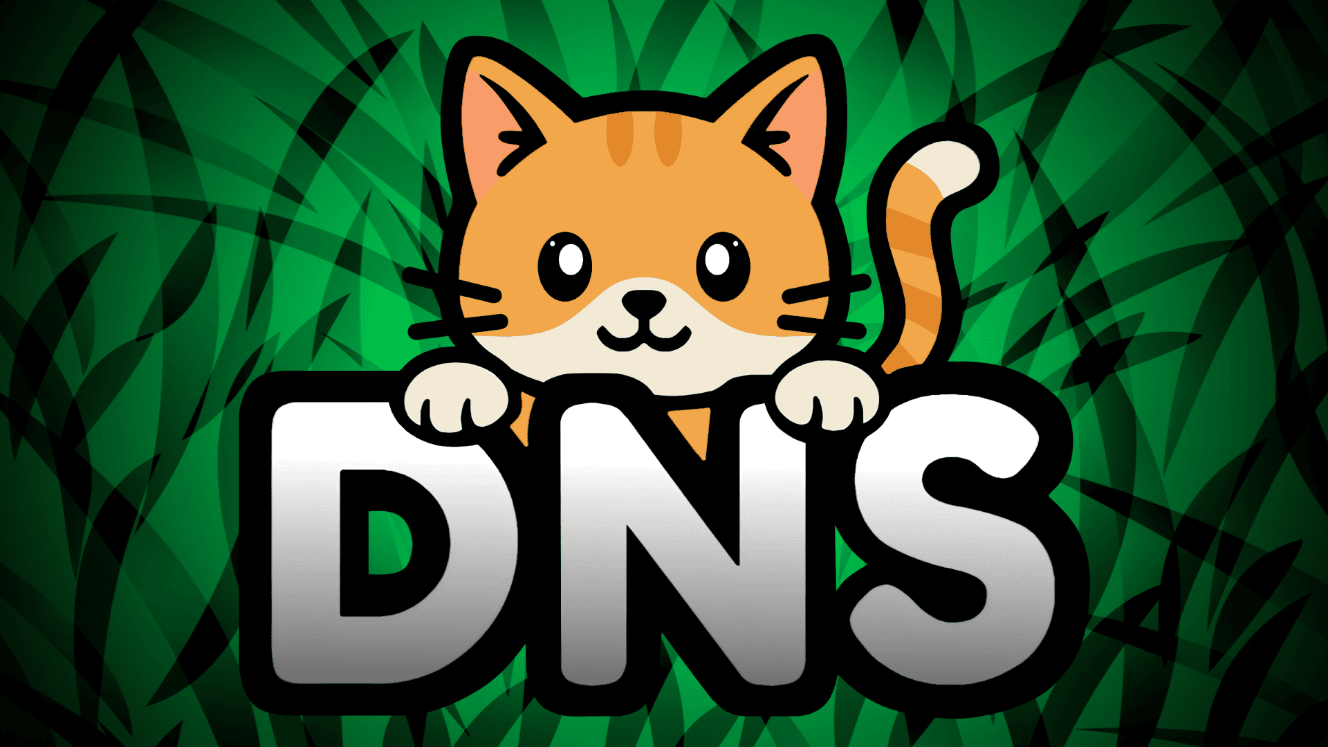 GitHub - JoelGMSec/NekoDNS: Experimental Reverse DNS Shell
